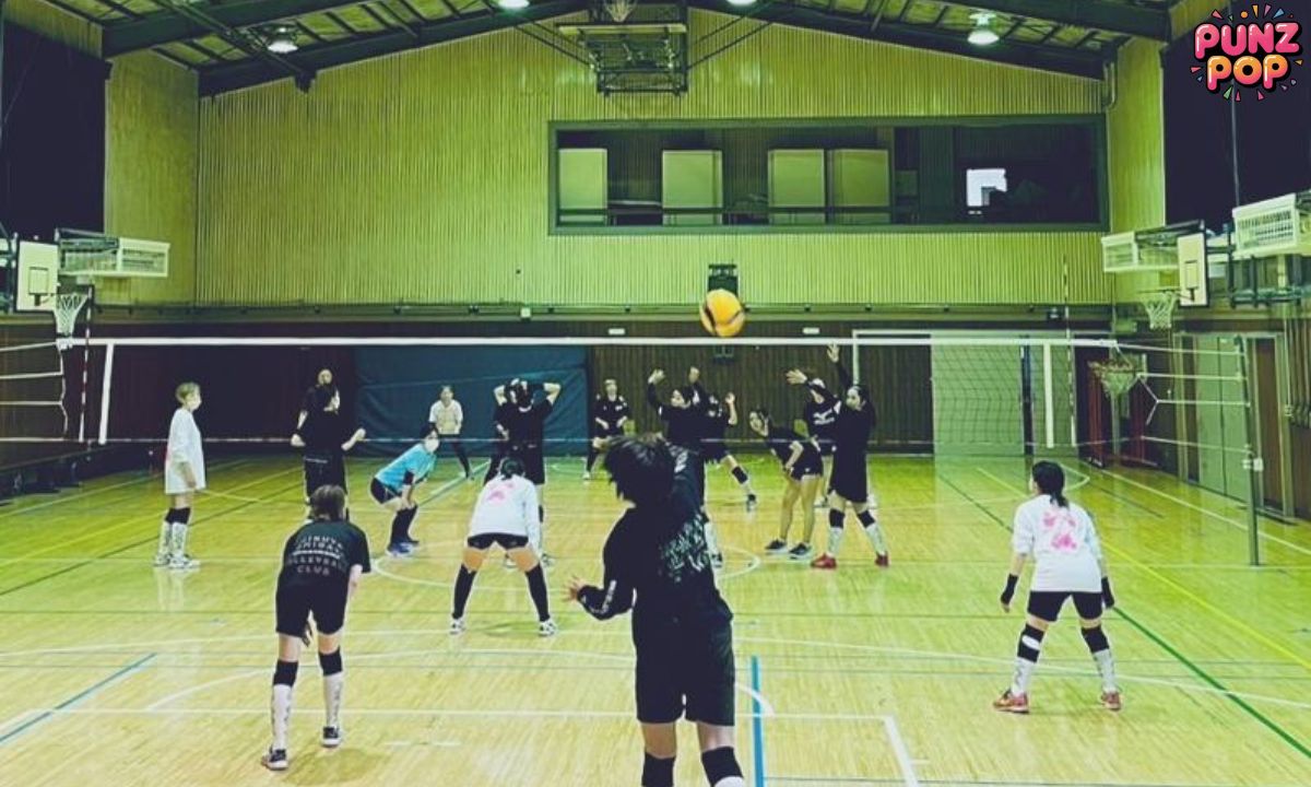 204+ Funny Volleyball Puns That’ll Spike Your Sense of Humor