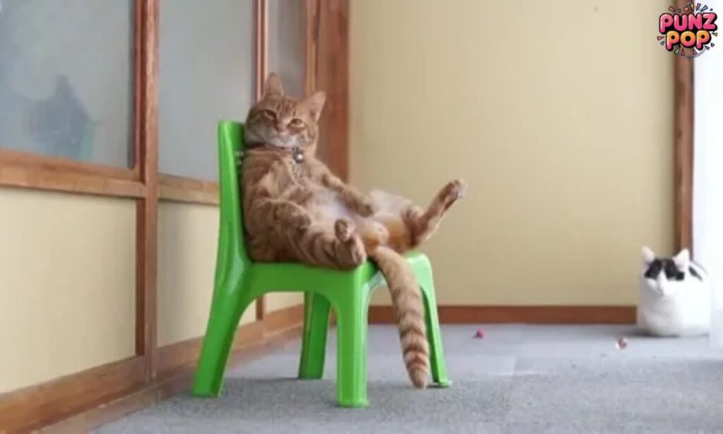 🪑 222+ Funny Chair Puns That’ll Have You Sitting Down From Laughter! 2025😂🪑