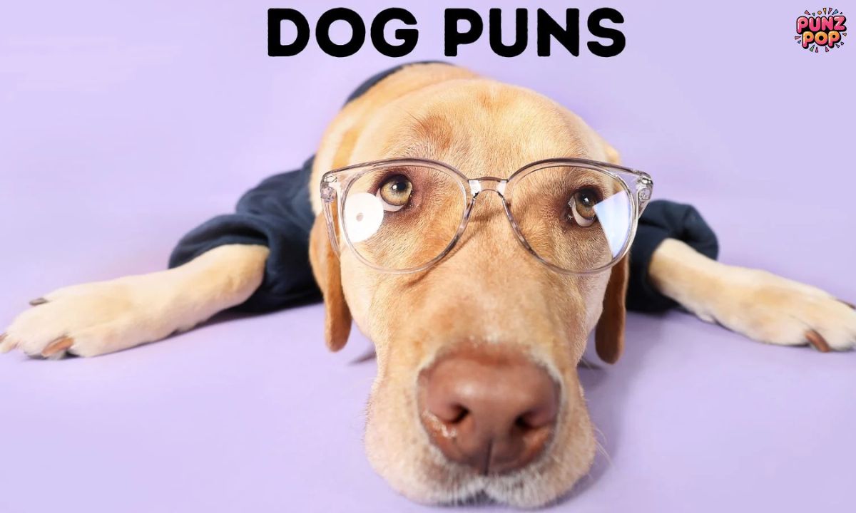 230+ Funny Dog Puns That’ll Have You Barking with Laughter